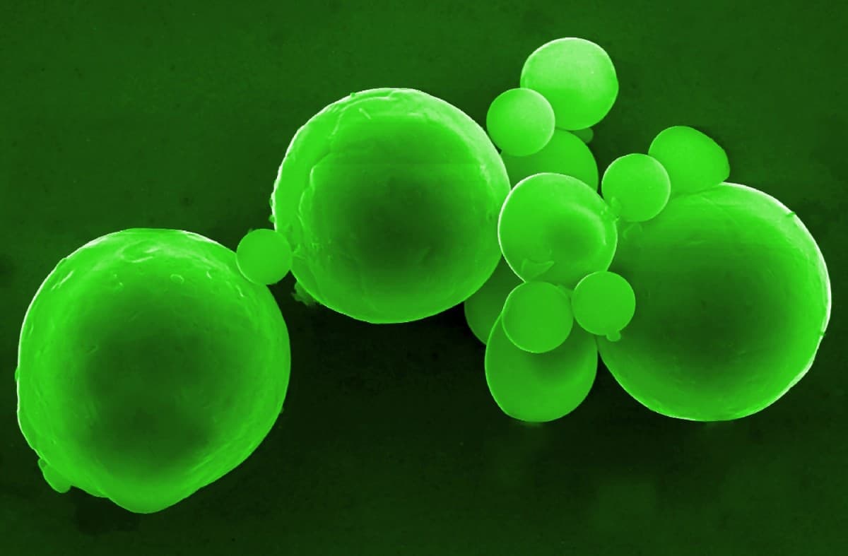 Can Nanoparticles Be 3D Printed? – 3dprintscape.com